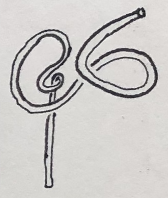 Welcome – Toni.org